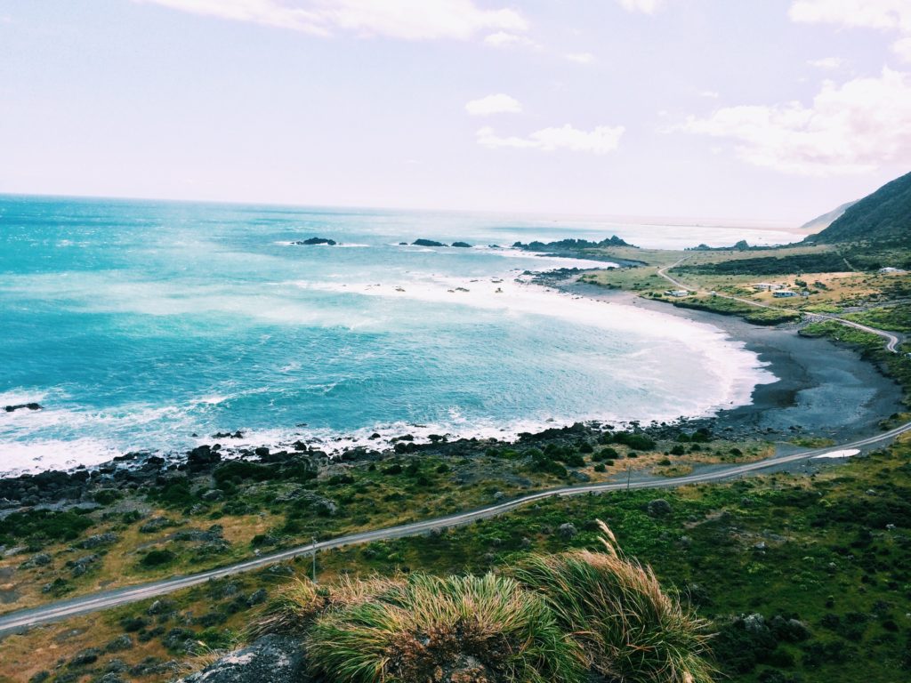 Amazing Wellington Day Tour to Wairarapa, New Zealand