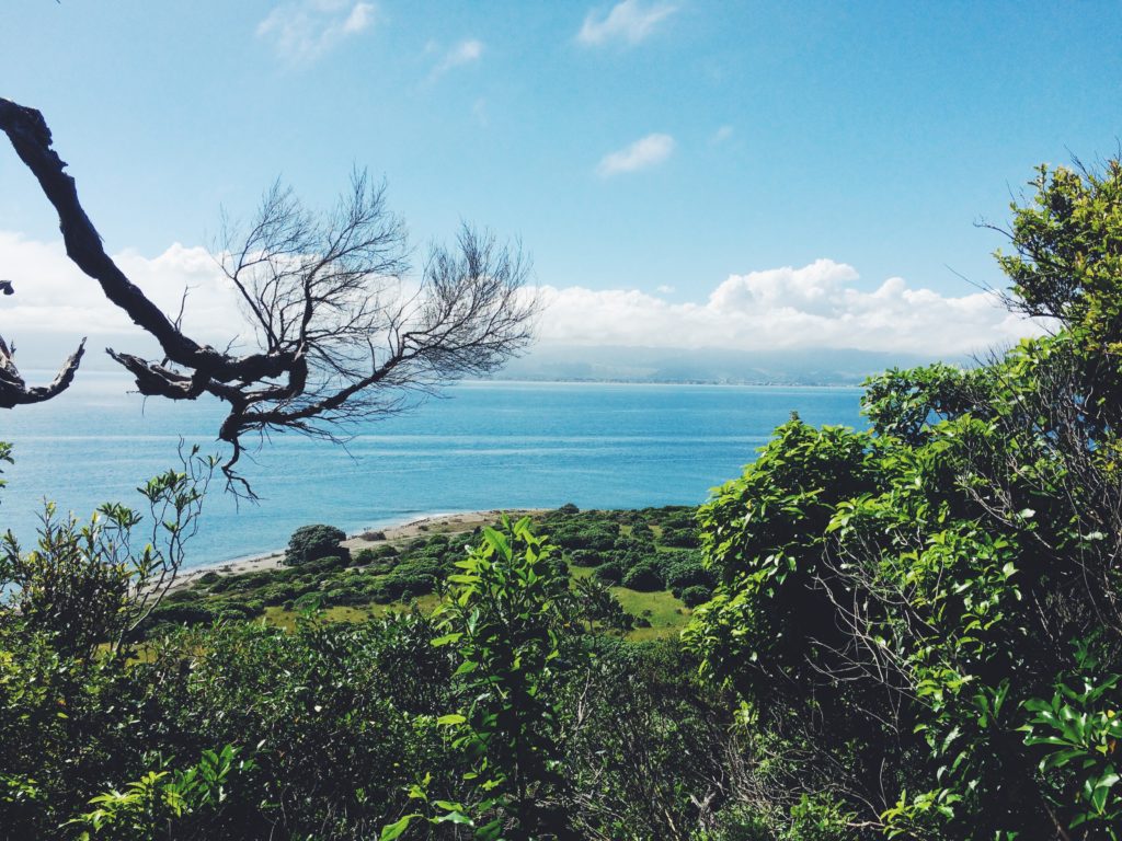 The best of Kapiti coast, New Zealand