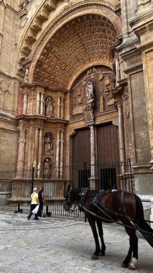 One Day in Palma de Mallorca: Perfect 1 Day Itinerary in Palma